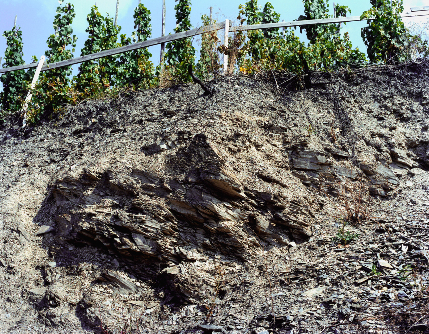 BERNKASTELER LAY – Weingut Dr Loosen